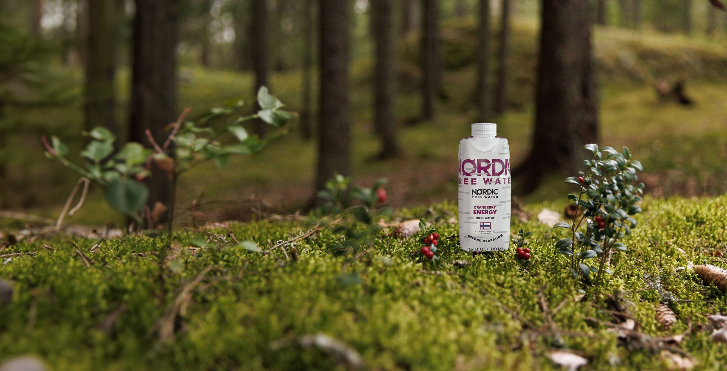 About – Nordic Tree Water